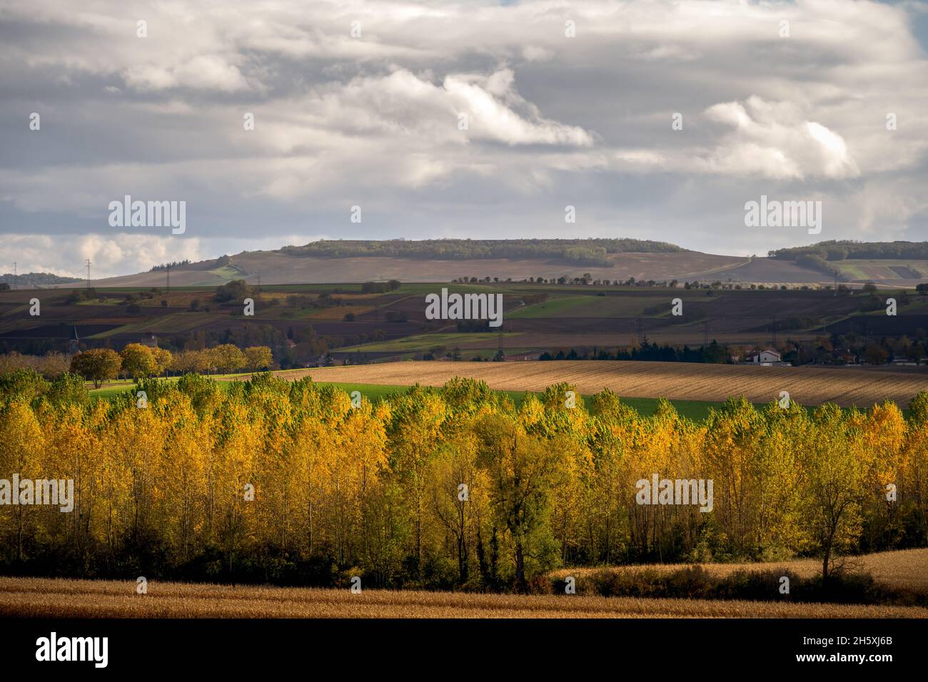 Autumn colours, tree foliage, Auvergne, France Stock Photo - Alamy