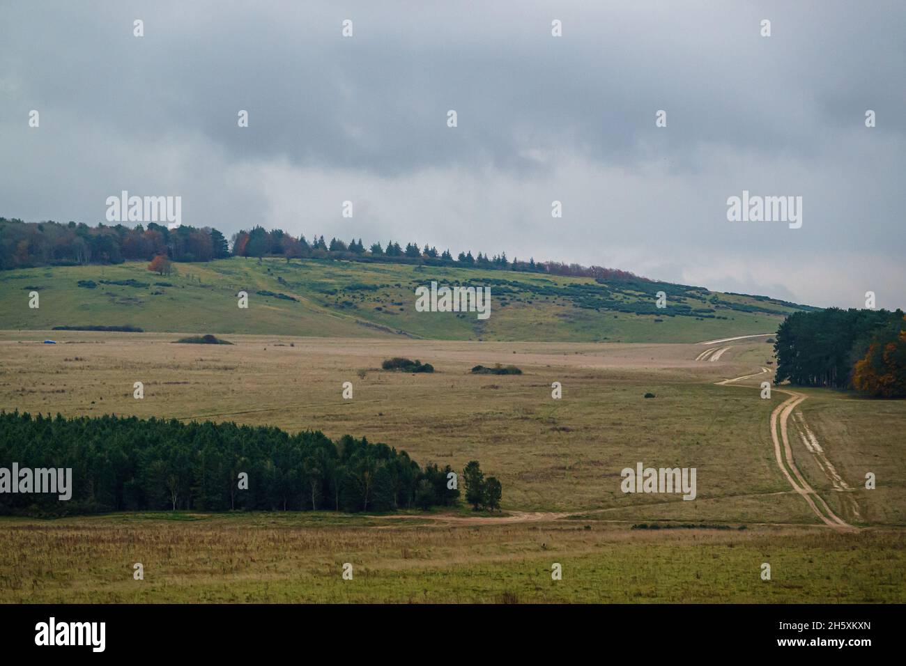 scenic landscape view of Sidbury hill with open fields, meadows and ...