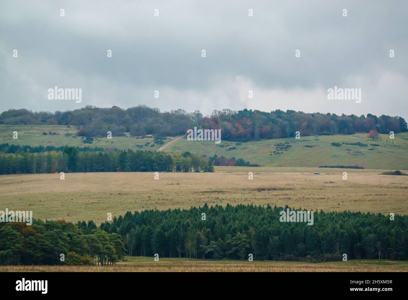 scenic landscape view of Sidbury hill with open fields, meadows and ...