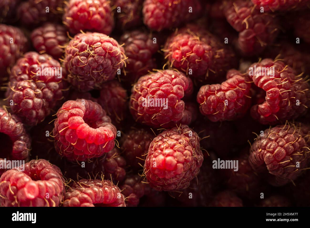 Juicy forest fruit hi-res stock photography and images - Alamy