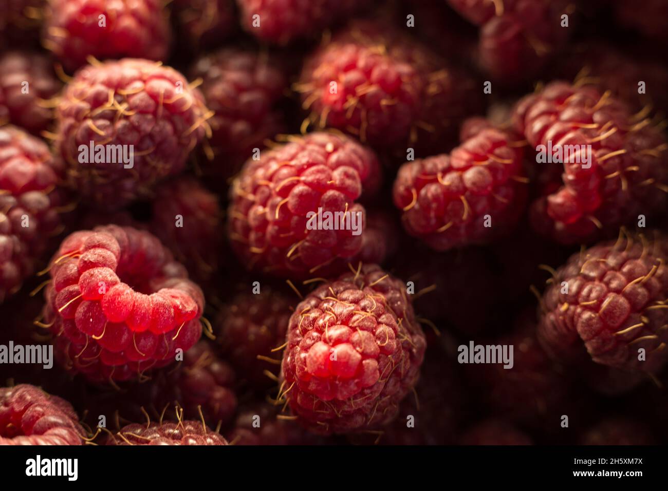 Fresh organic ripe raspberry - forest fruit Stock Photo - Alamy