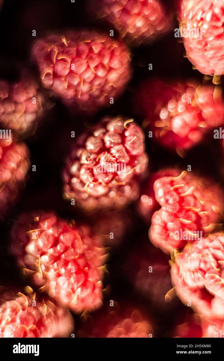 Raspberry forest hi-res stock photography and images - Alamy