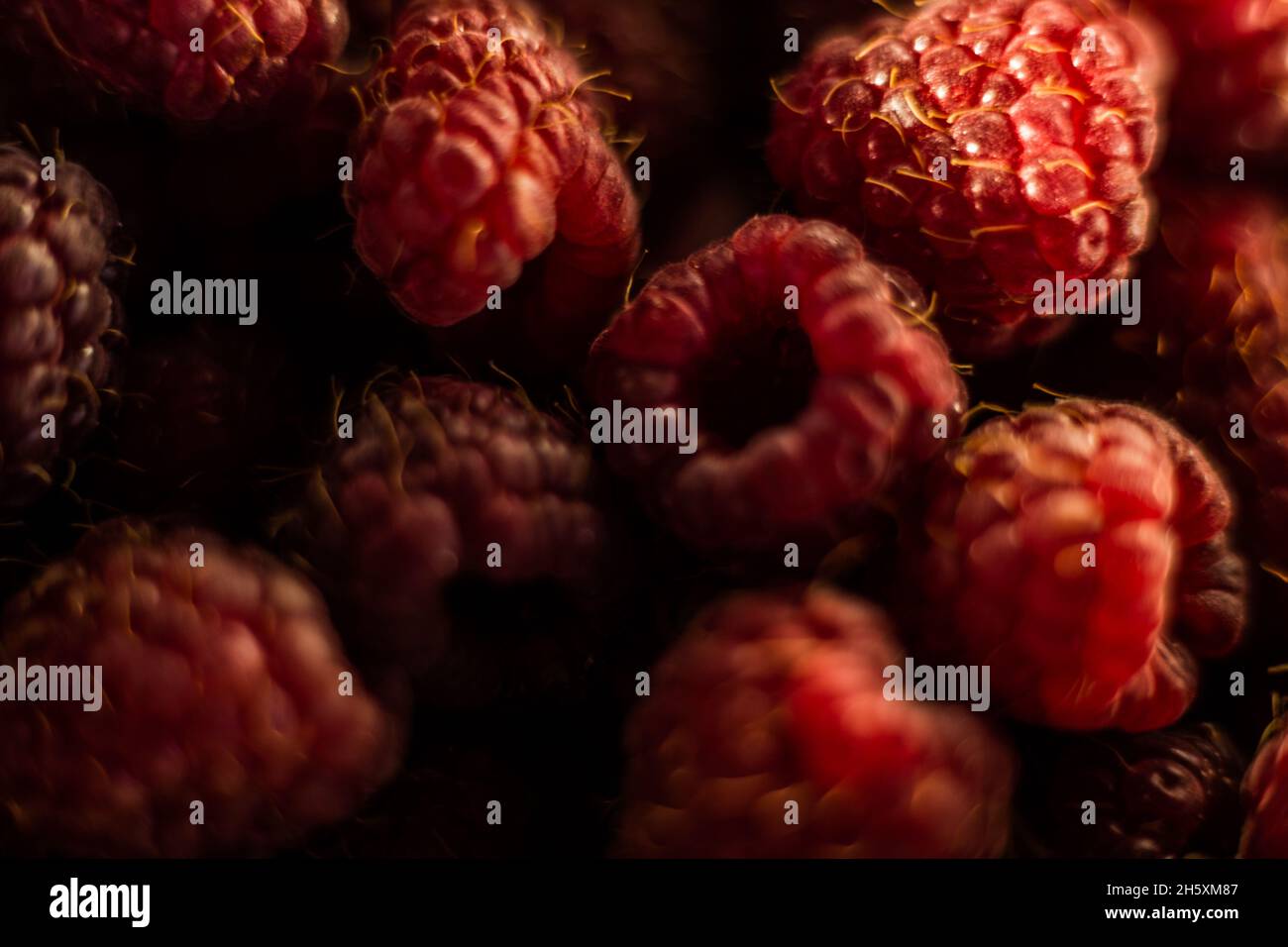 Fresh organic ripe raspberry - forest fruit Stock Photo - Alamy