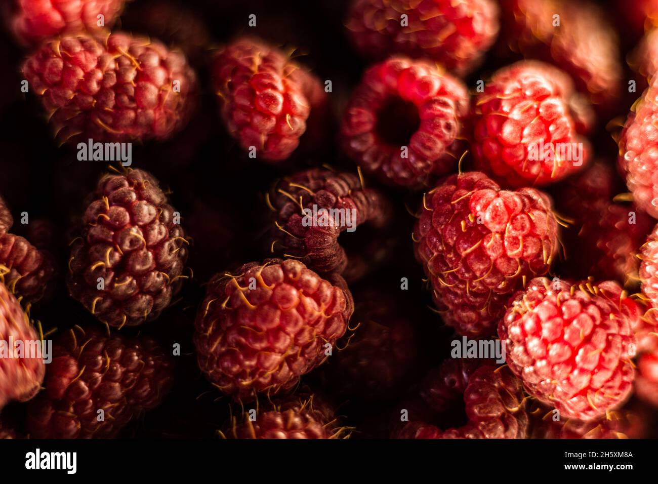 Fresh organic ripe raspberry - forest fruit Stock Photo - Alamy