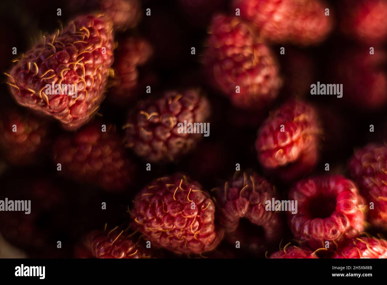 Fresh organic ripe raspberry - forest fruit Stock Photo - Alamy