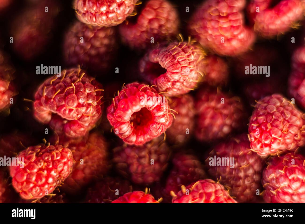 Fresh organic ripe raspberry - forest fruit Stock Photo - Alamy