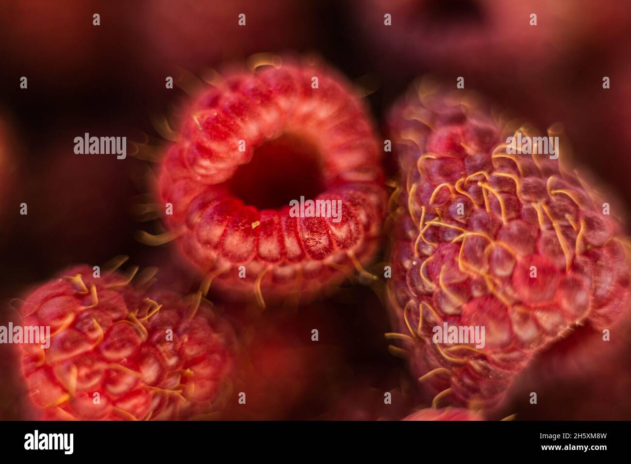 Fresh organic ripe raspberry - forest fruit Stock Photo - Alamy