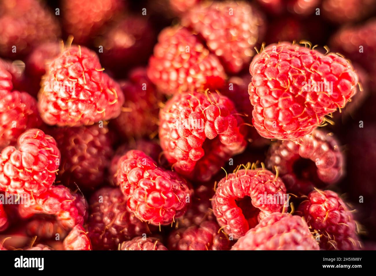 Fresh organic ripe raspberry - forest fruit Stock Photo - Alamy