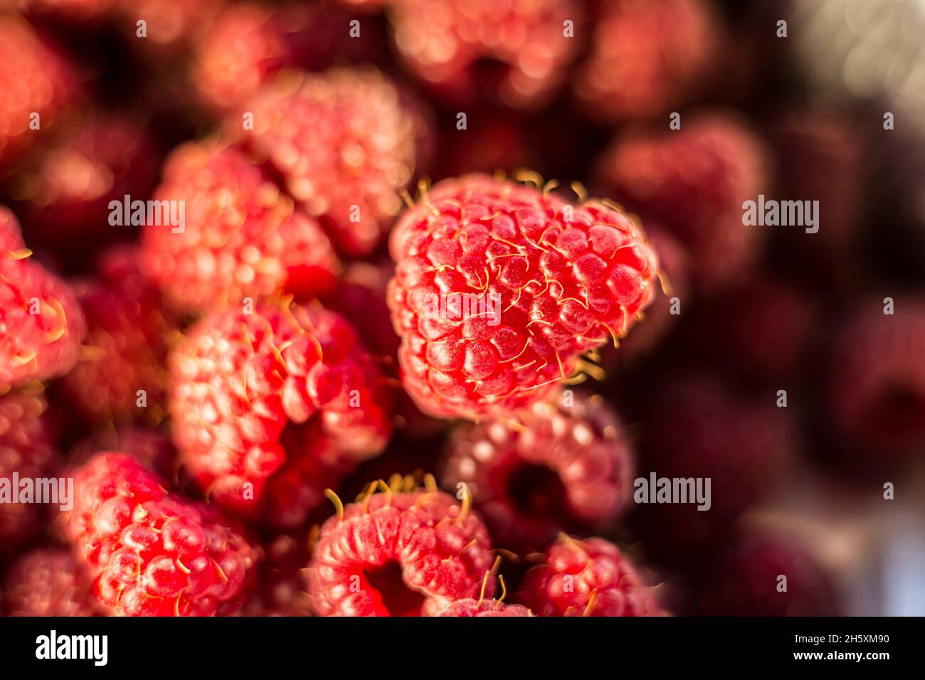 Fresh organic ripe raspberry - forest fruit Stock Photo - Alamy