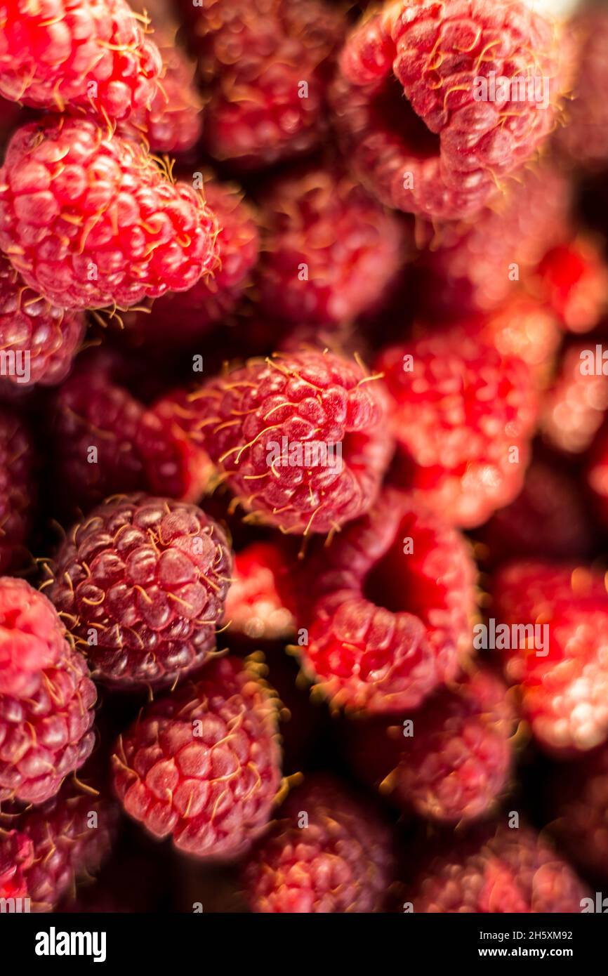 Fresh organic ripe raspberry - forest fruit Stock Photo - Alamy
