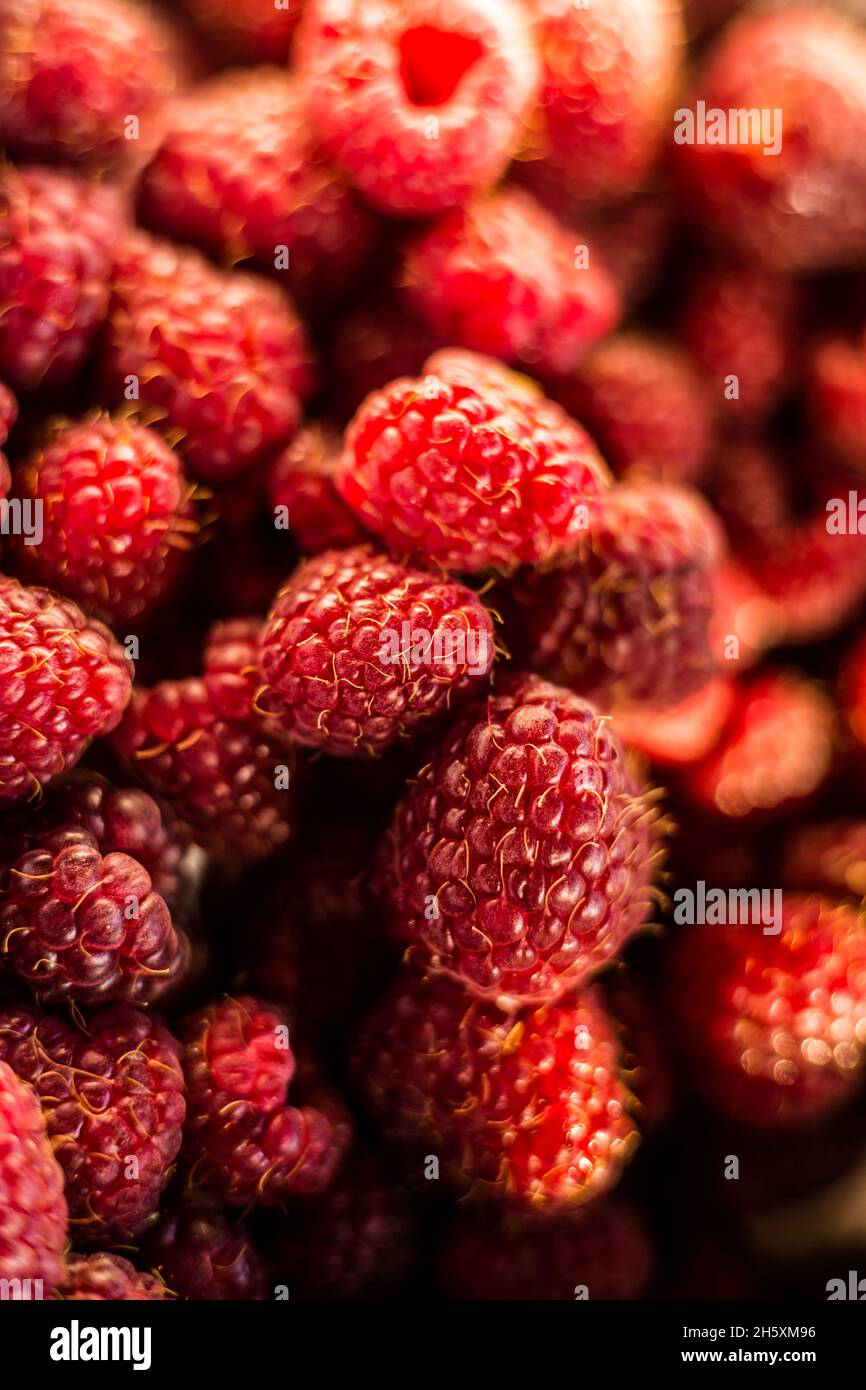 Raspberry forest hi-res stock photography and images - Alamy