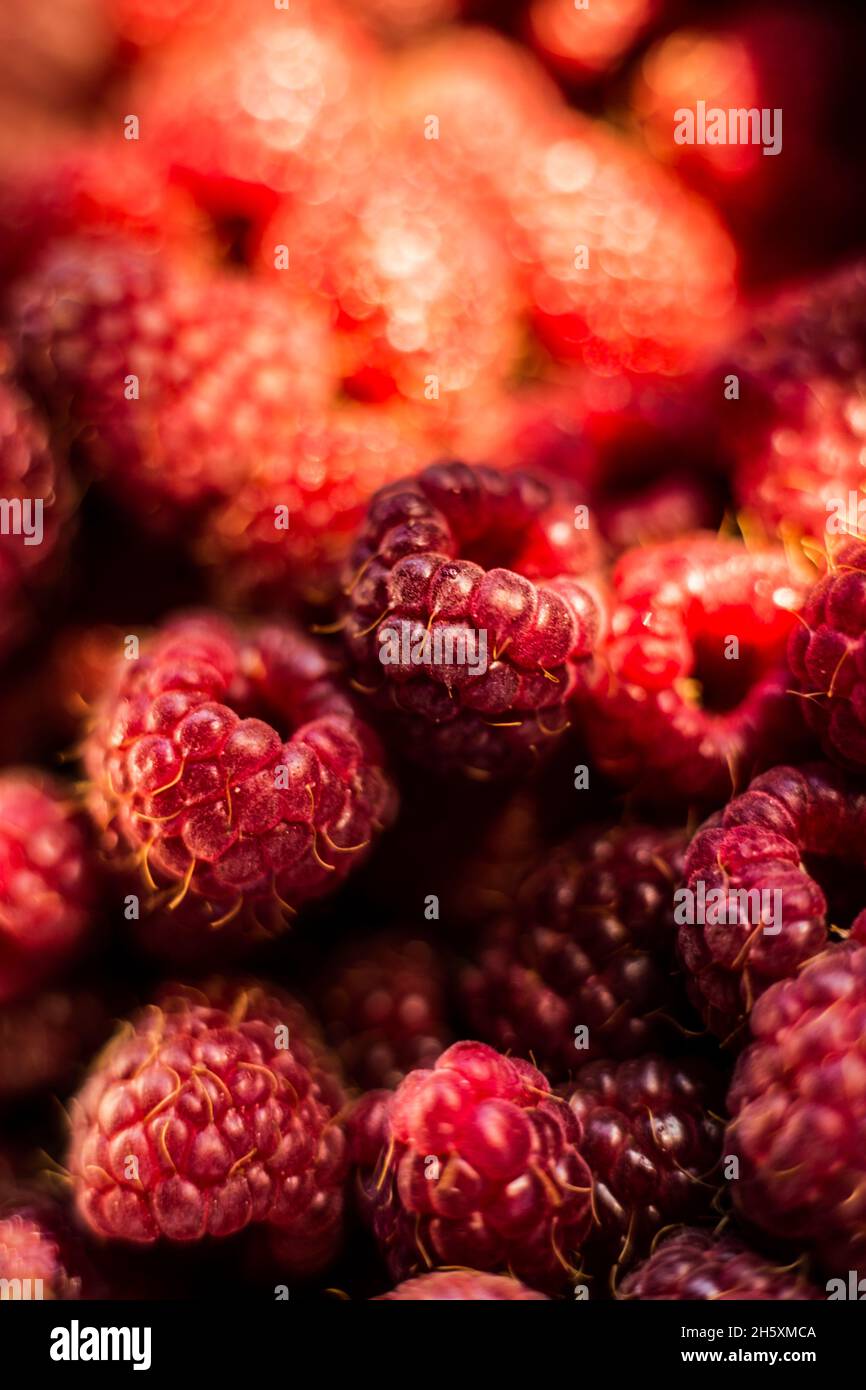 Raspberry forest hi-res stock photography and images - Alamy