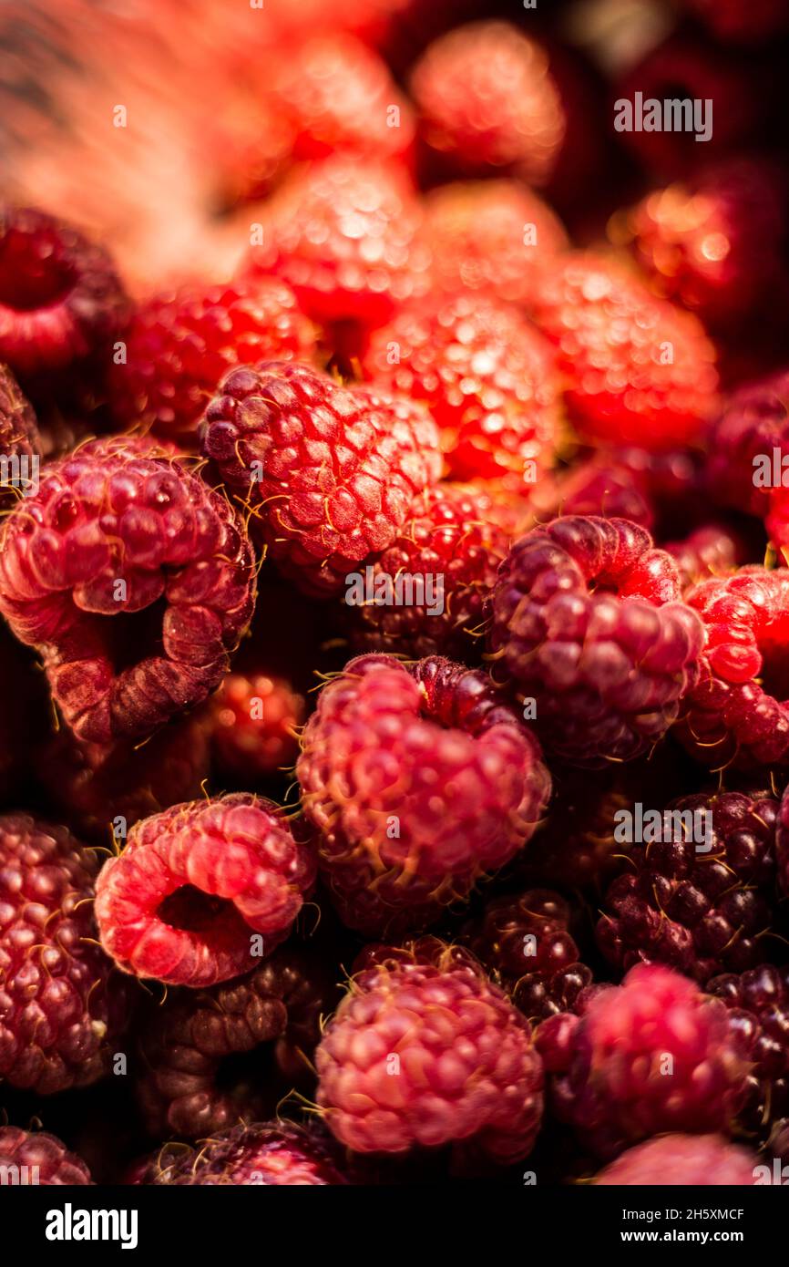 Fresh organic ripe raspberry - forest fruit Stock Photo - Alamy