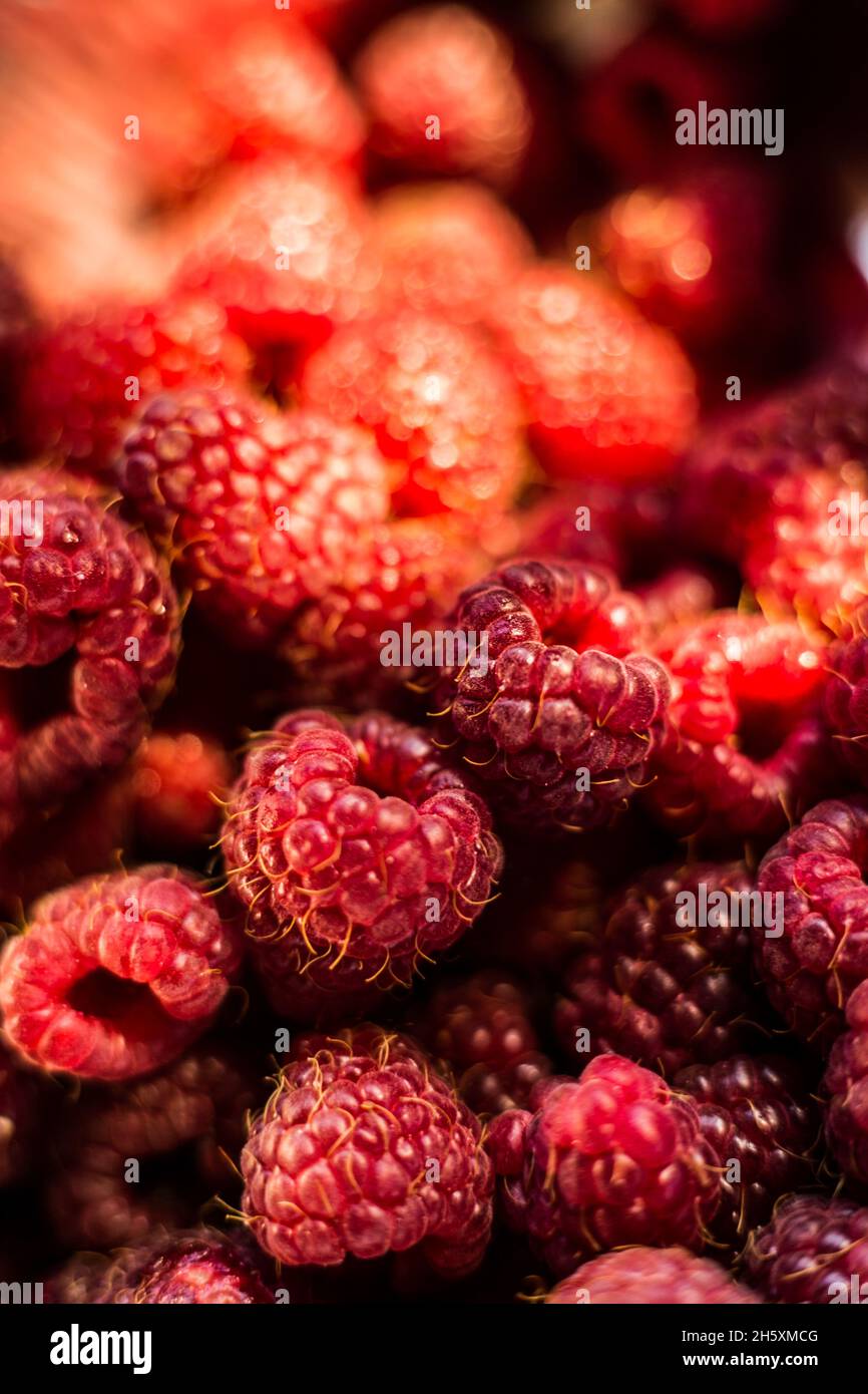 Fresh organic ripe raspberry - forest fruit Stock Photo - Alamy