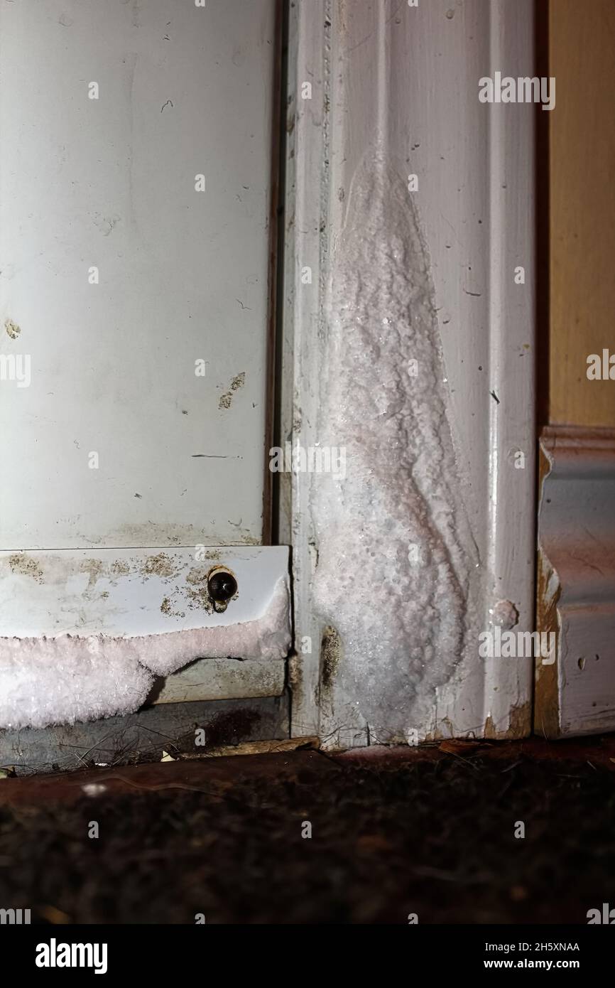 Damage due to frost hi-res stock photography and images - Alamy