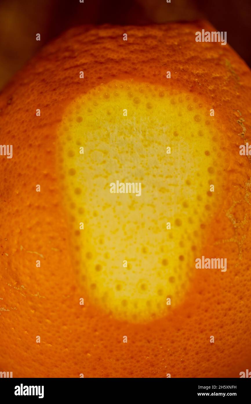 Orange scab hi-res stock photography and images - Alamy