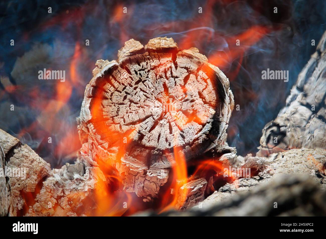 Macro view of logs burning during a fire Stock Photo - Alamy