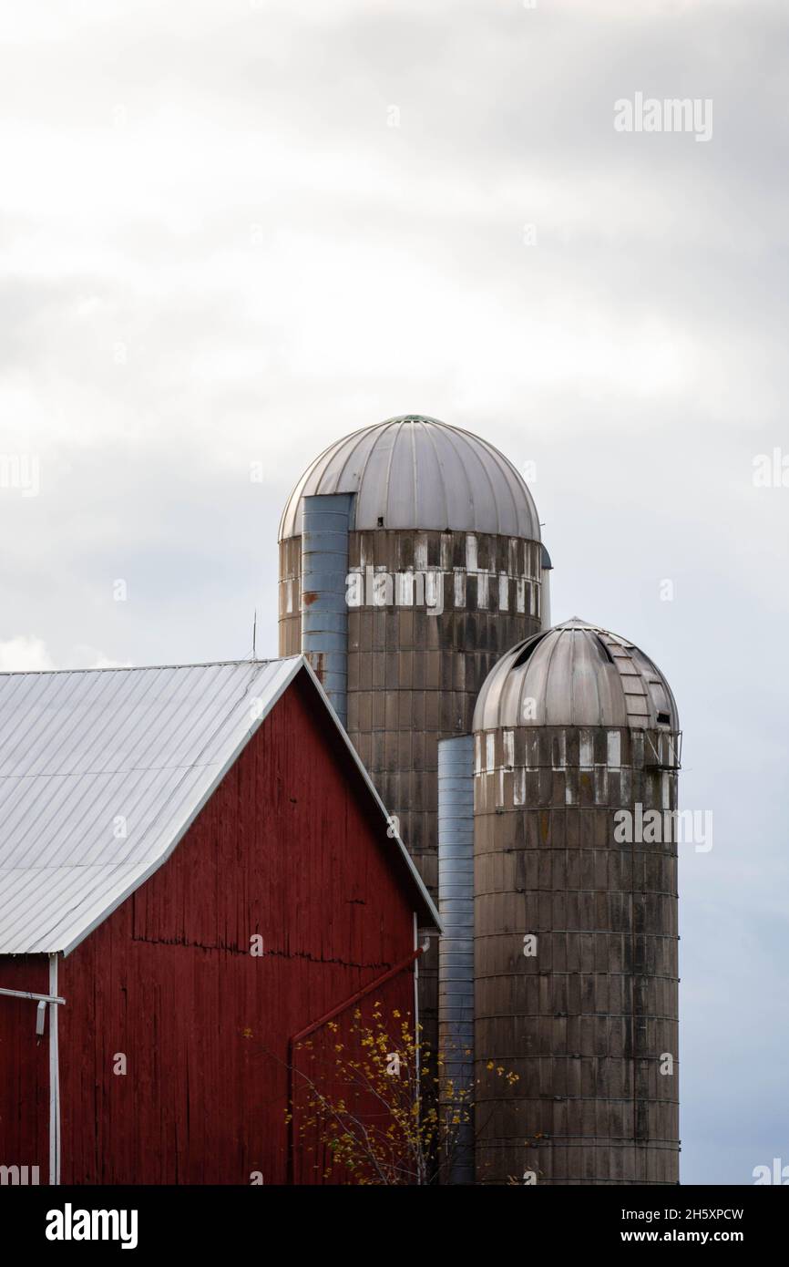 Red barn with two silos in Wisconsin, vertical Stock Photo - Alamy