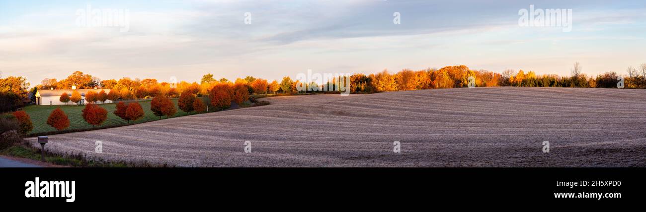 Road going through a Wisconsin countryside in October, panorama Stock ...