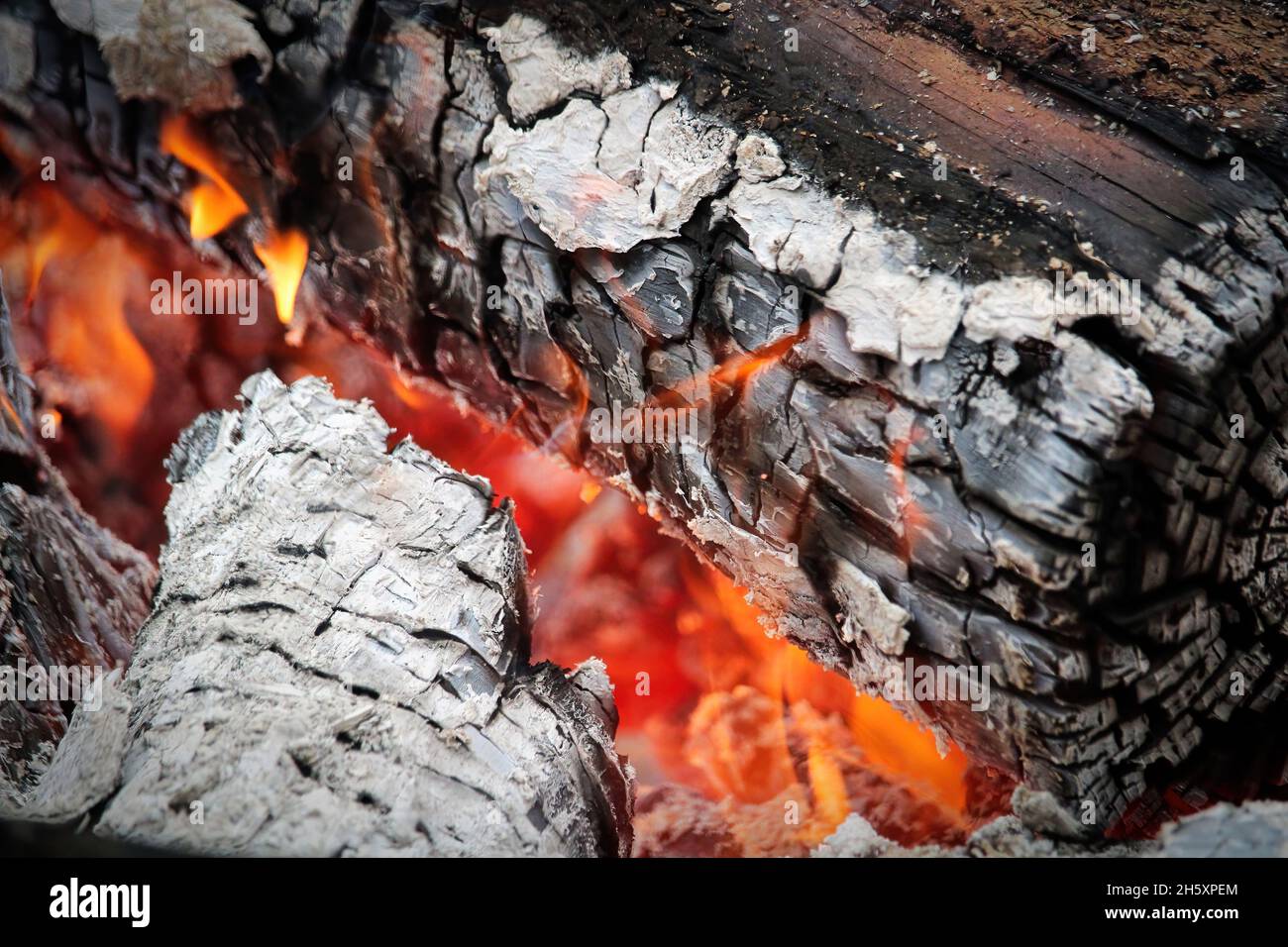 Macro view of logs burning during a fire Stock Photo - Alamy
