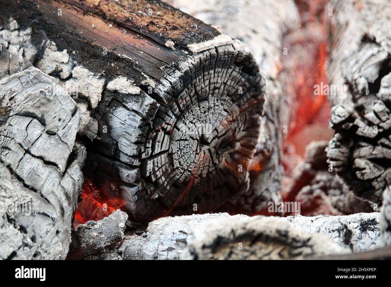 Macro view of logs burning during a fire Stock Photo - Alamy