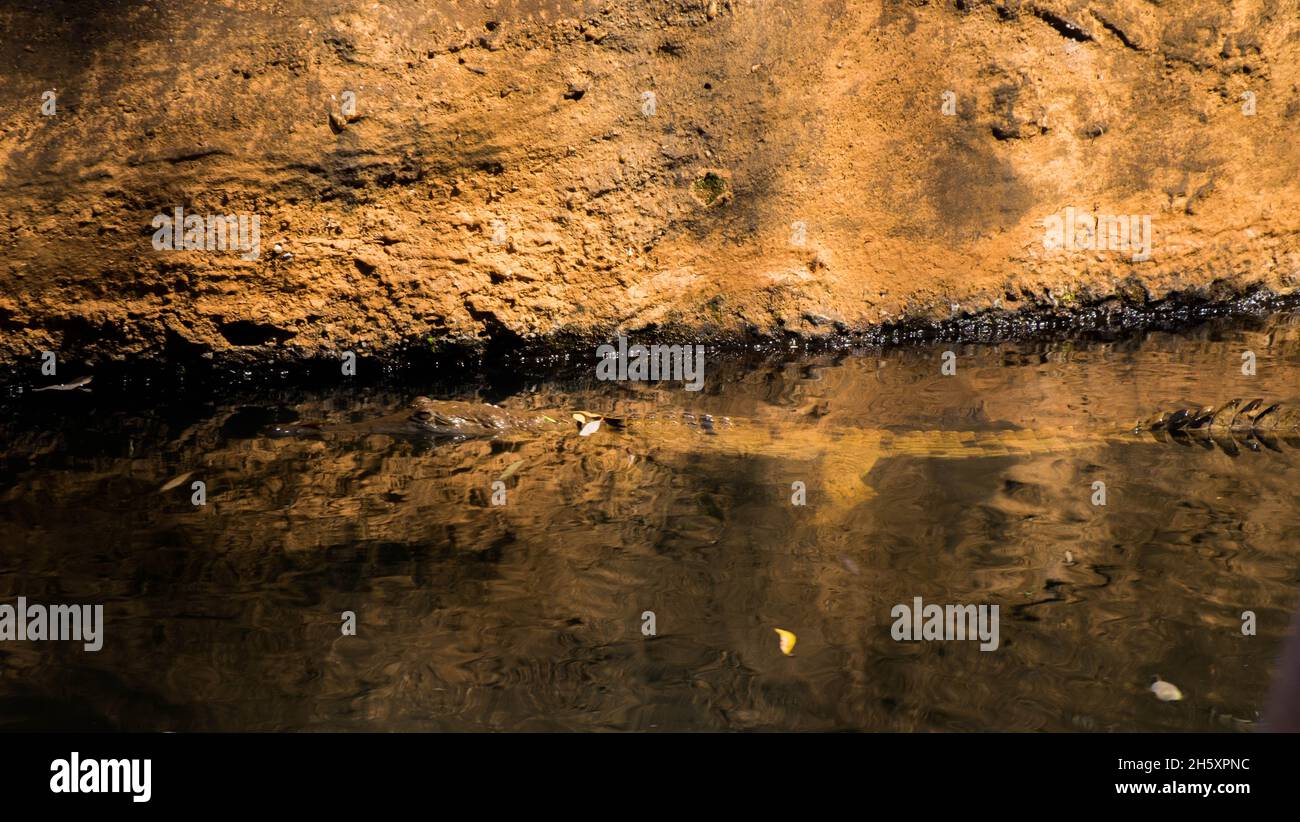 Lazily hi-res stock photography and images - Alamy