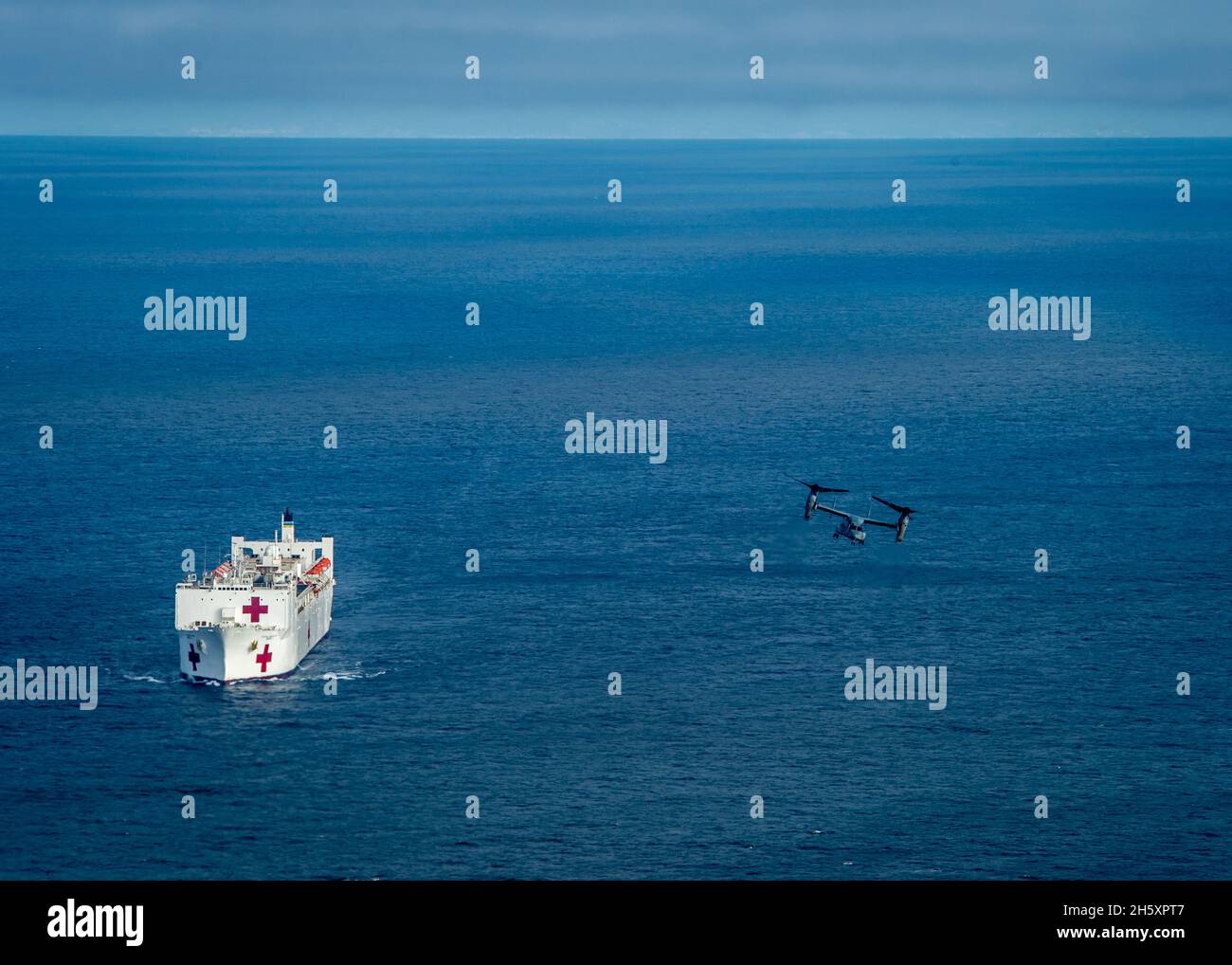 Msc symbol hi-res stock photography and images - Alamy