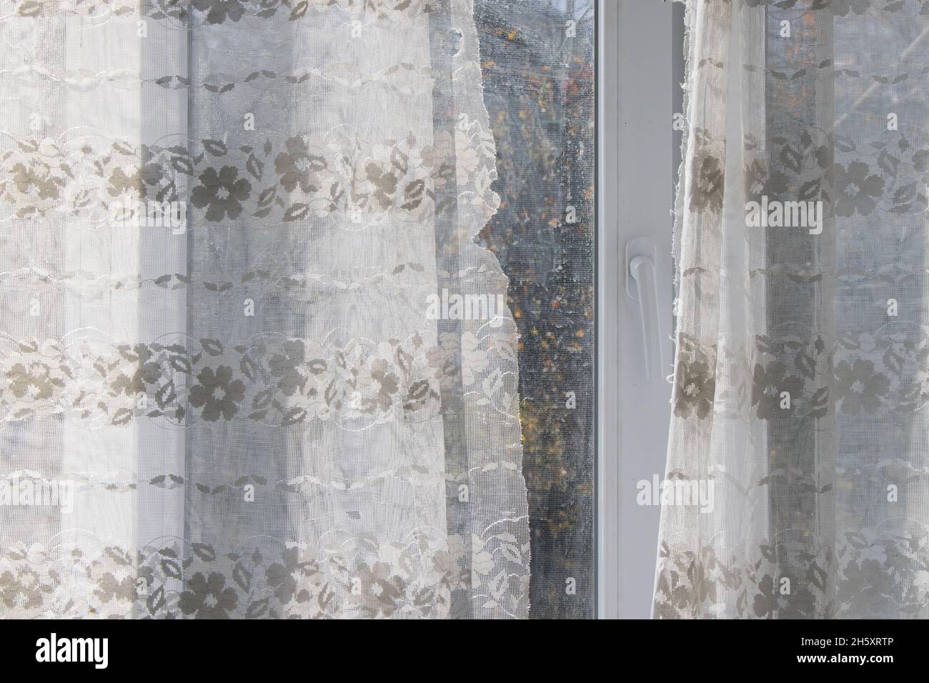House window curtain background Stock Photo - Alamy