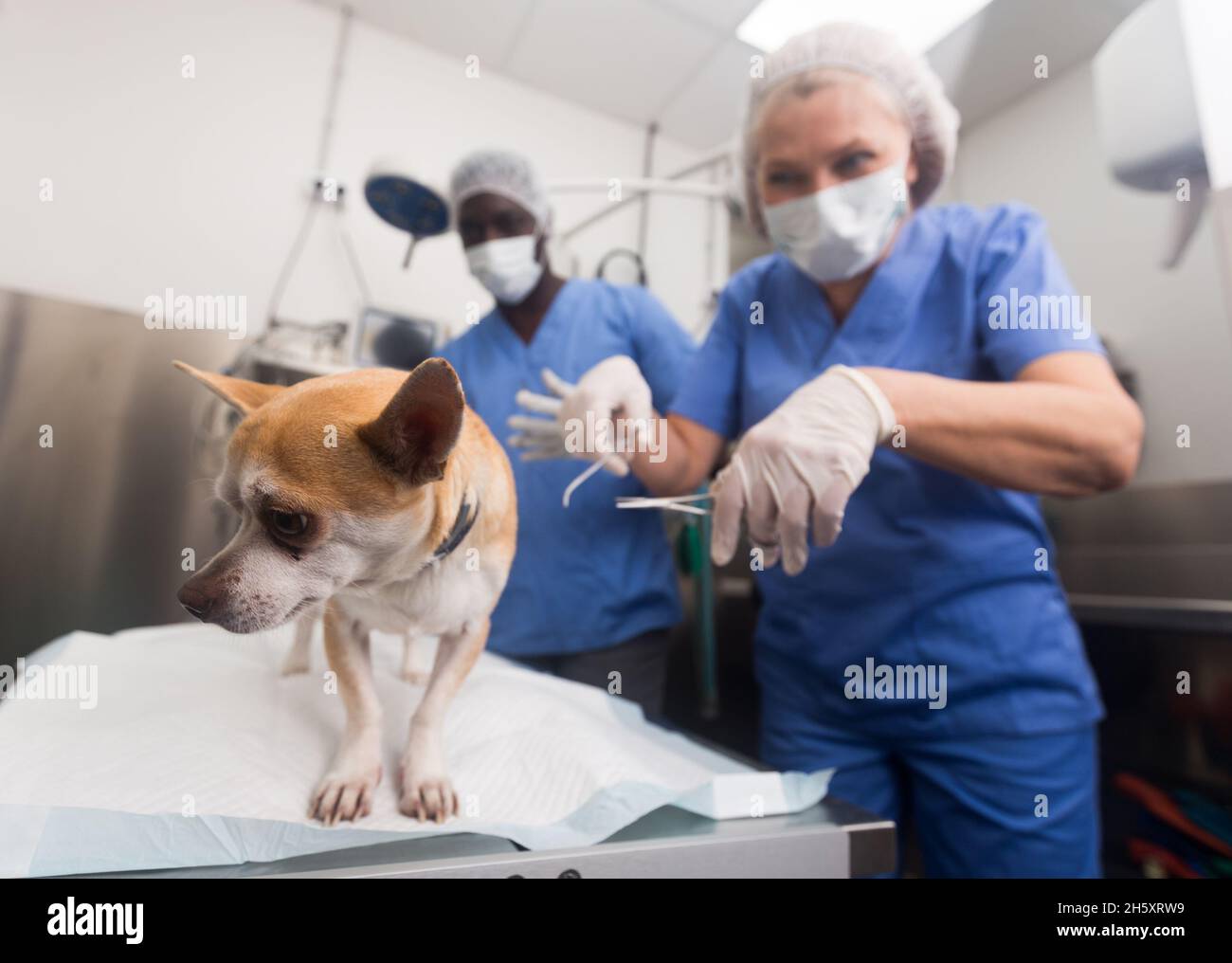Female patient on operating table hi-res stock photography and images ...