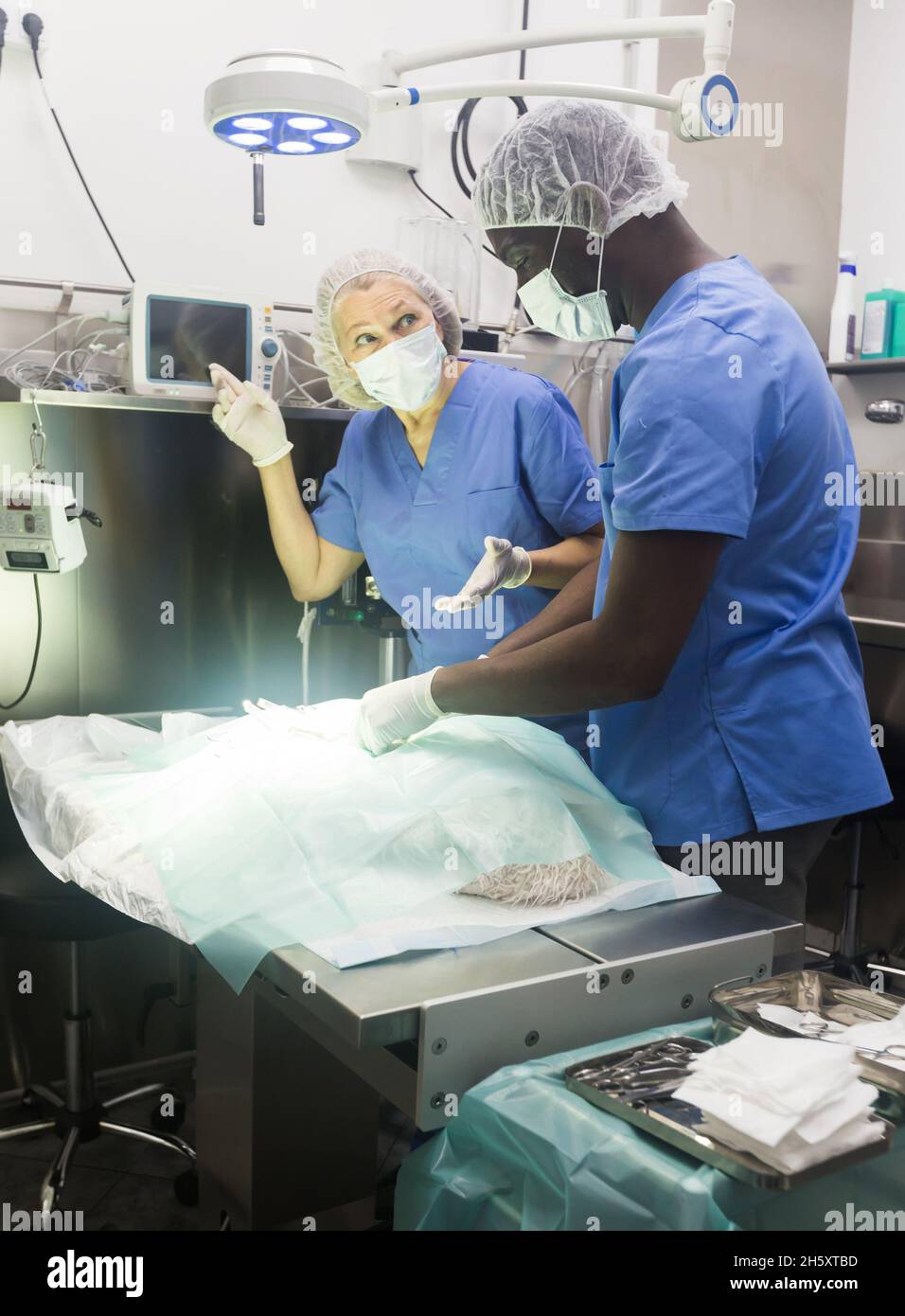 Vetinary procedure hi-res stock photography and images - Alamy