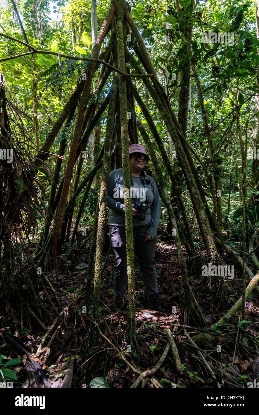 Refugio Selvático Tingo,Tingo Maria,Huanuco,Perú Stock Photo - Alamy