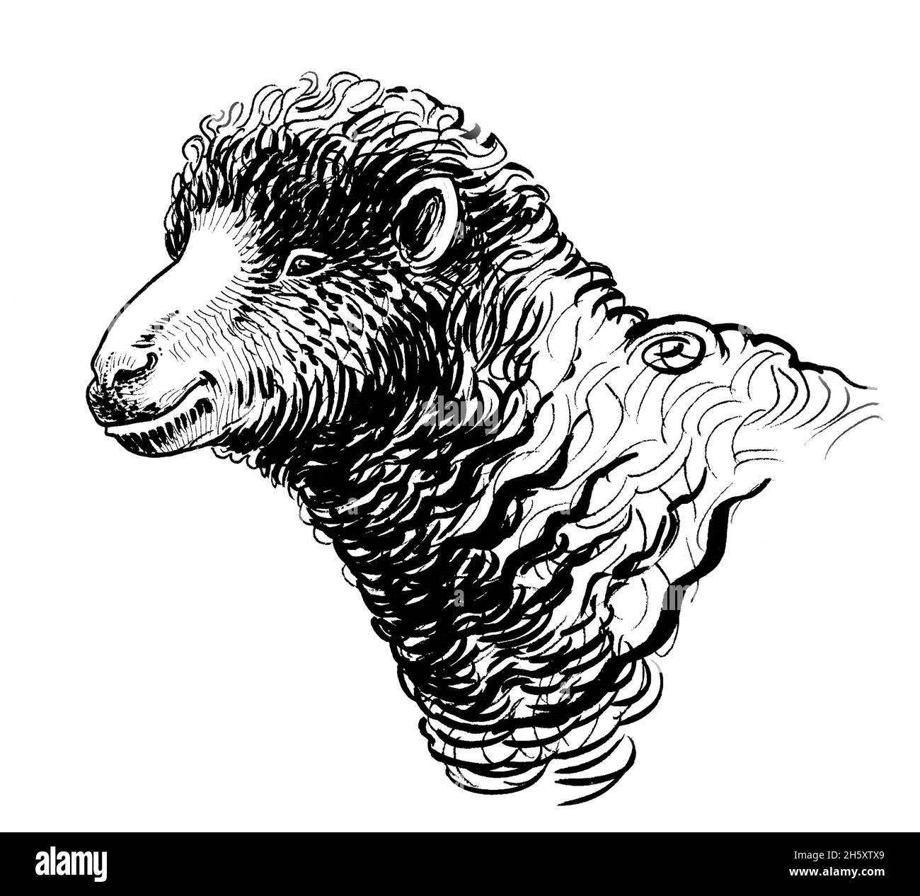 How To Draw A Sheep Face