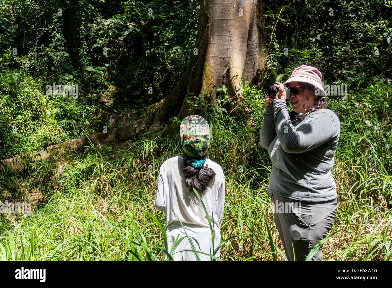 Refugio Selvático Tingo,Tingo Maria,Huanuco,Perú Stock Photo - Alamy