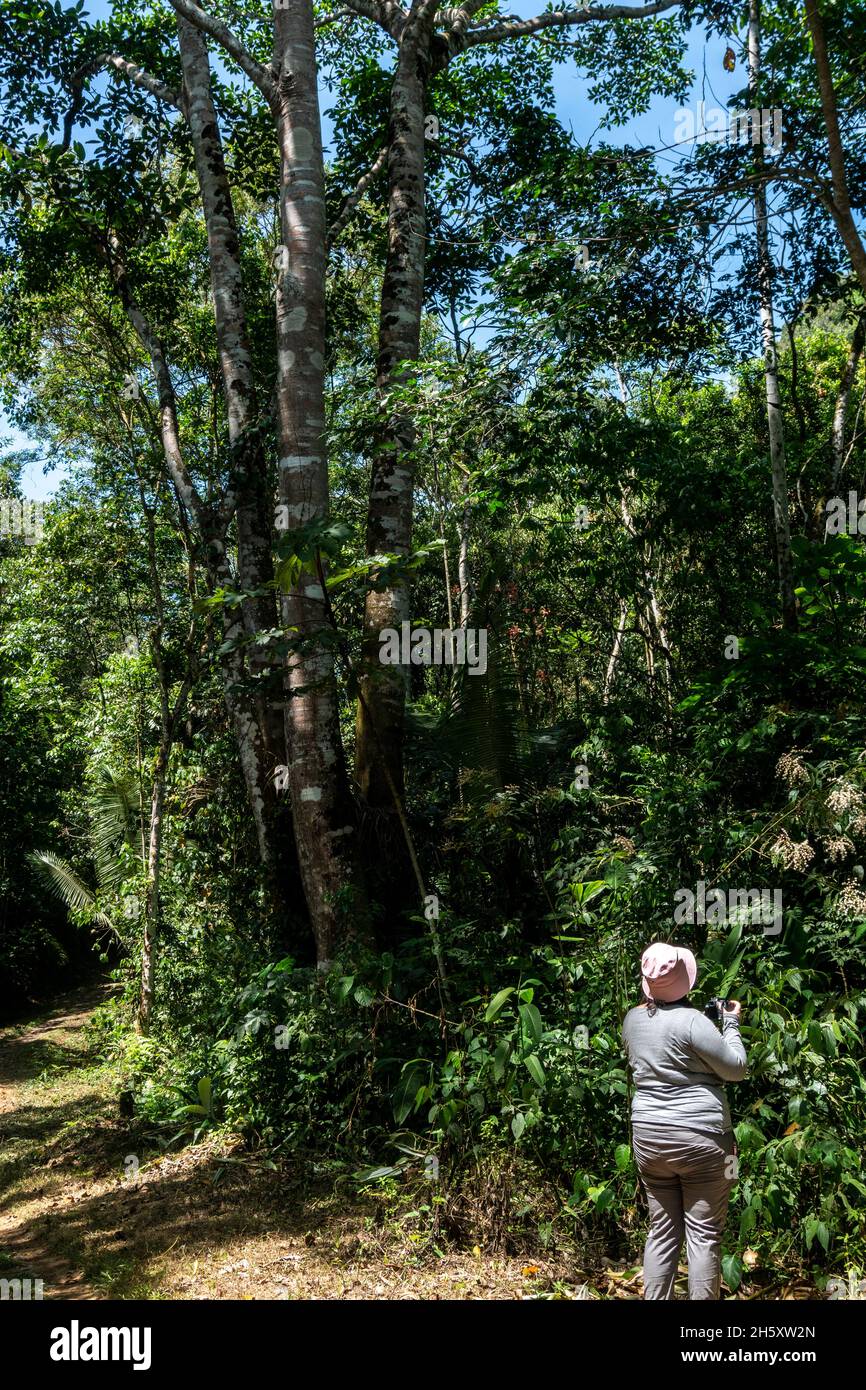 Refugio Selvático Tingo,Tingo Maria,Huanuco,Perú Stock Photo - Alamy