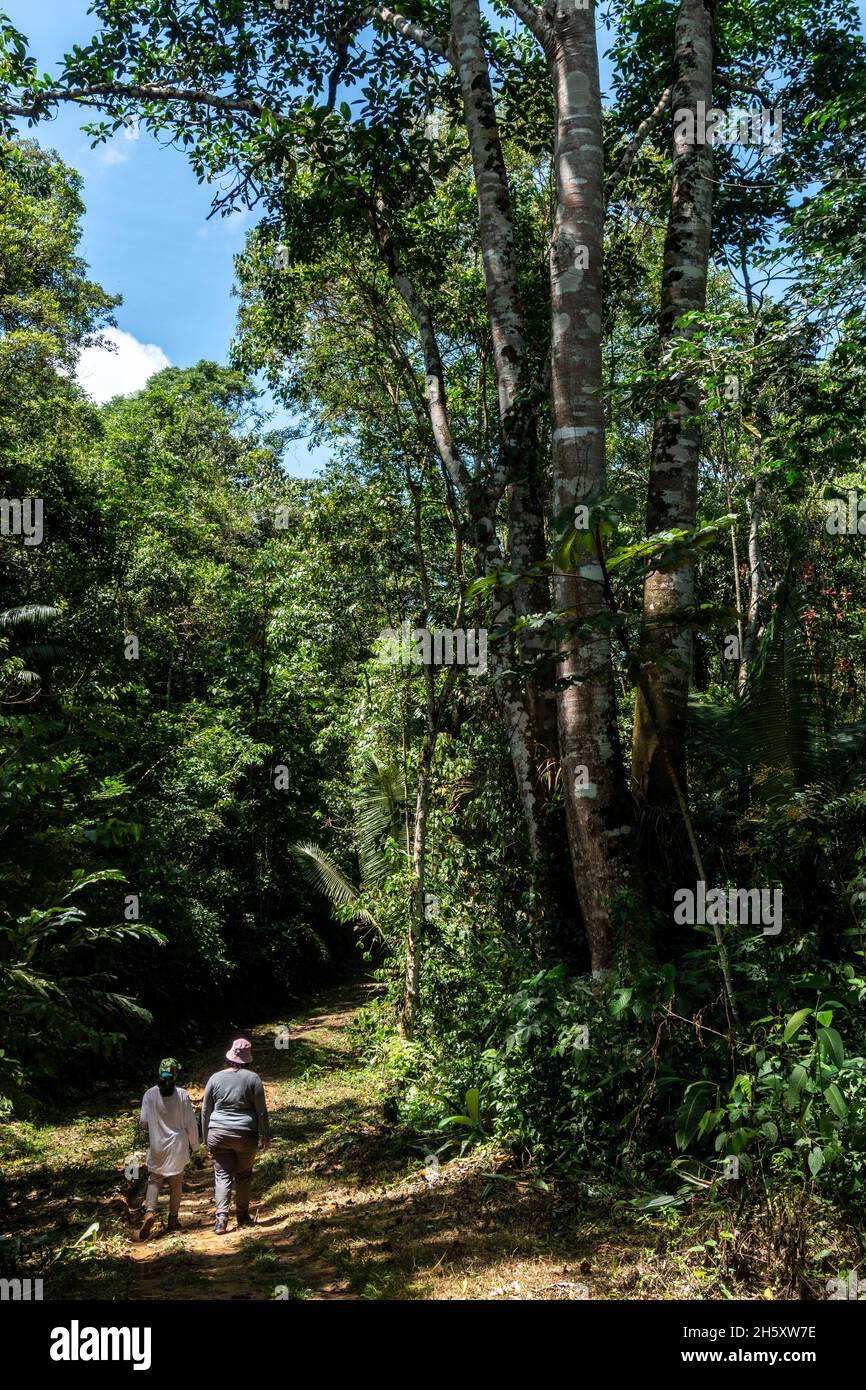 Refugio Selvático Tingo,Tingo Maria,Huanuco,Perú Stock Photo - Alamy