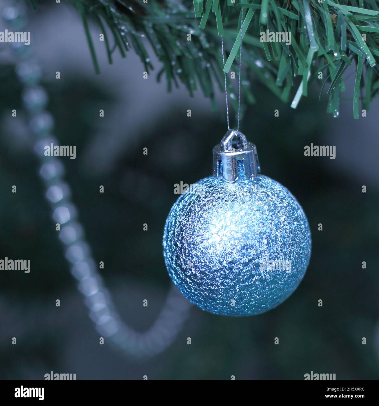 blue bauble hanging on the Christmas tree Stock Photo - Alamy