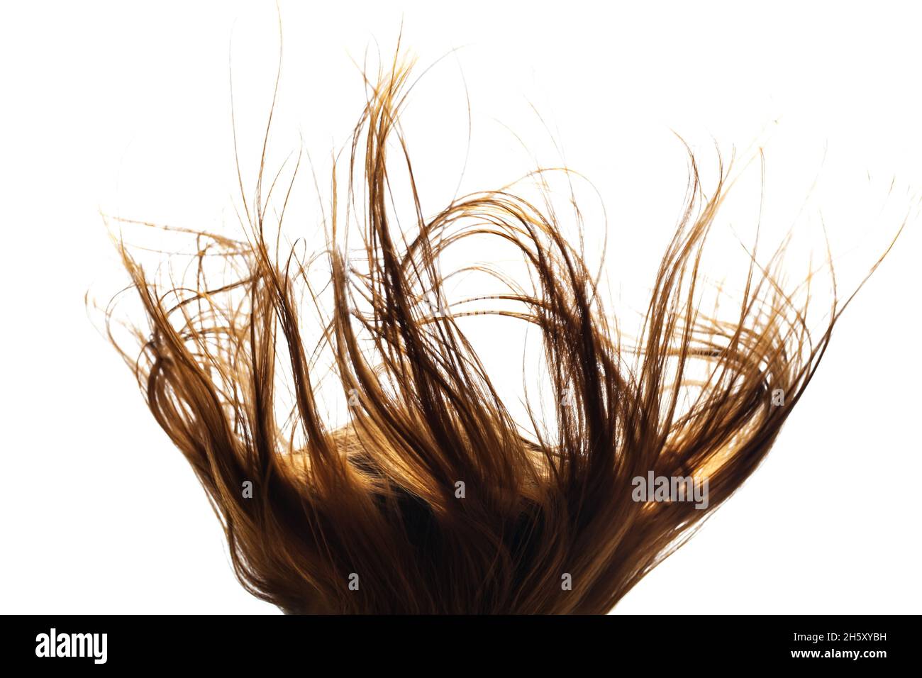 Windy hair. Abstract close up hairs on white background Stock Photo - Alamy