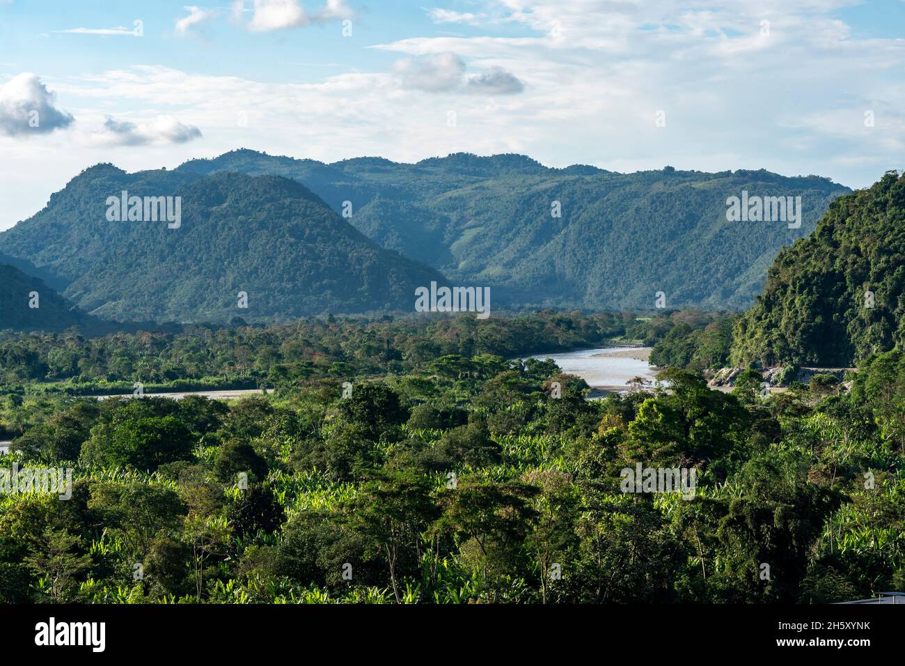 Amazon rainforest landscape hi-res stock photography and images - Alamy