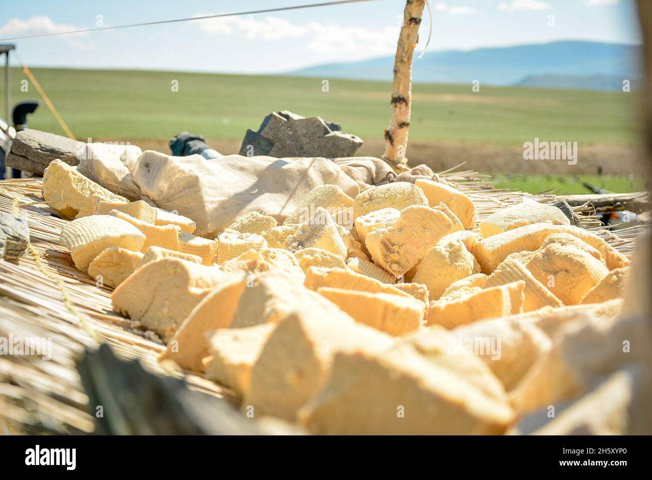 Mongolian organic yak milk made curd, western Mongolia Stock Photo - Alamy