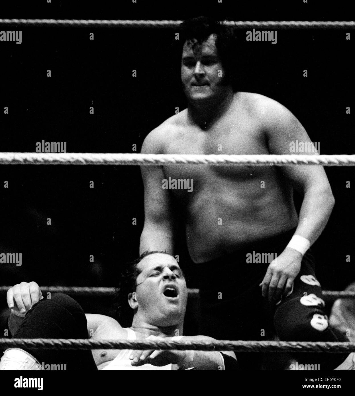 Honk Tonk Man Bret Hart 1987 Photo by John Barrett/PHOTOlink Stock ...