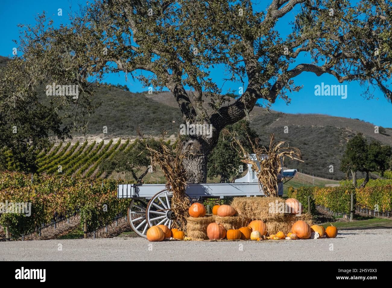 Halloween display santa barbara hi-res stock photography and images - Alamy