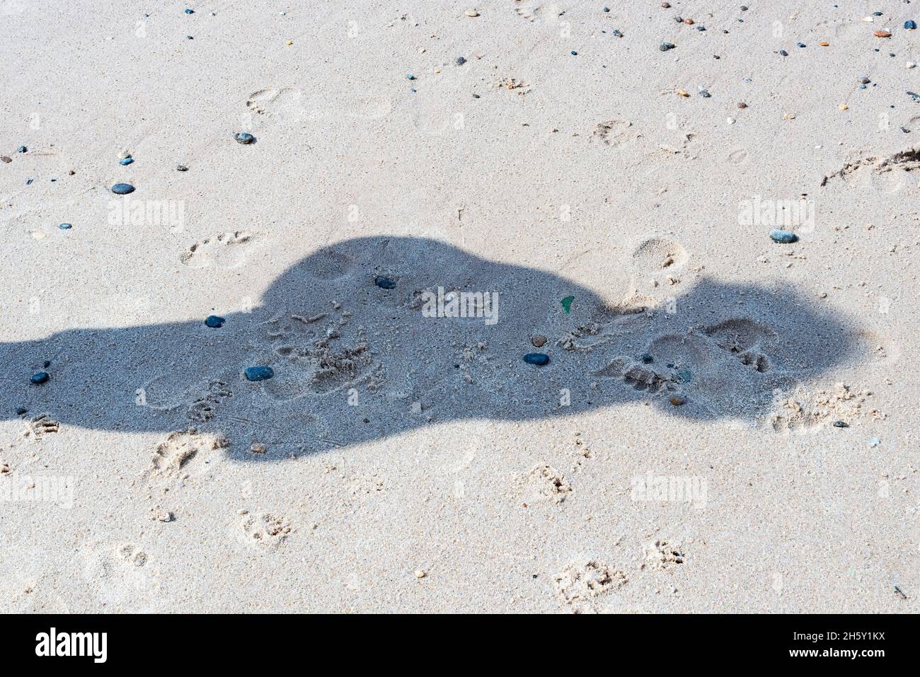 Human shadow on beach hi-res stock photography and images - Alamy