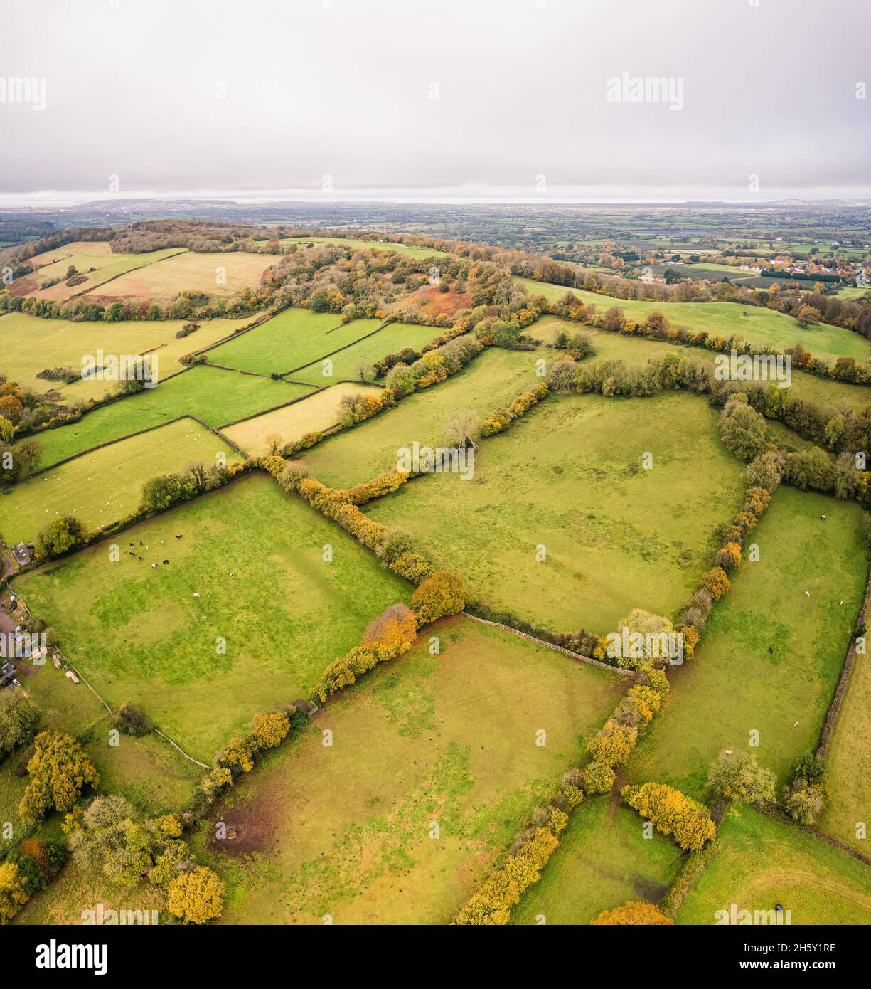 Vertical Panorama view of Autumn Colors over Bristol Airport fields ...