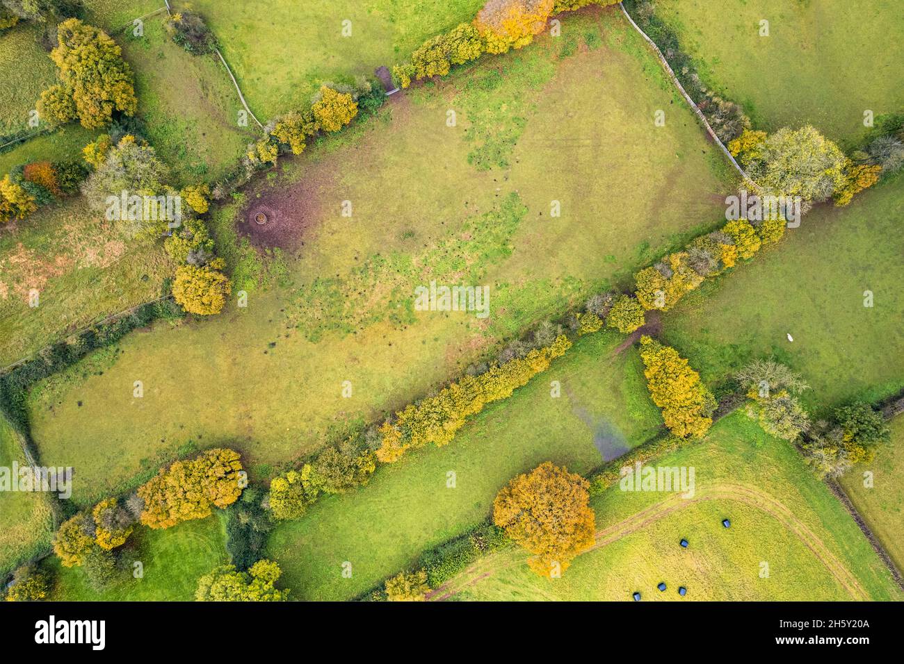 Top Down view of Autumn Colors over Somerset fields from a drone ...