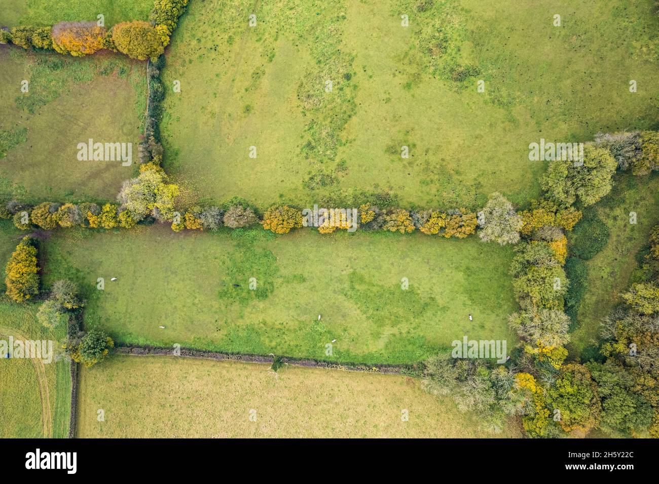Top Down view of Autumn Colors over Somerset fields from a drone ...