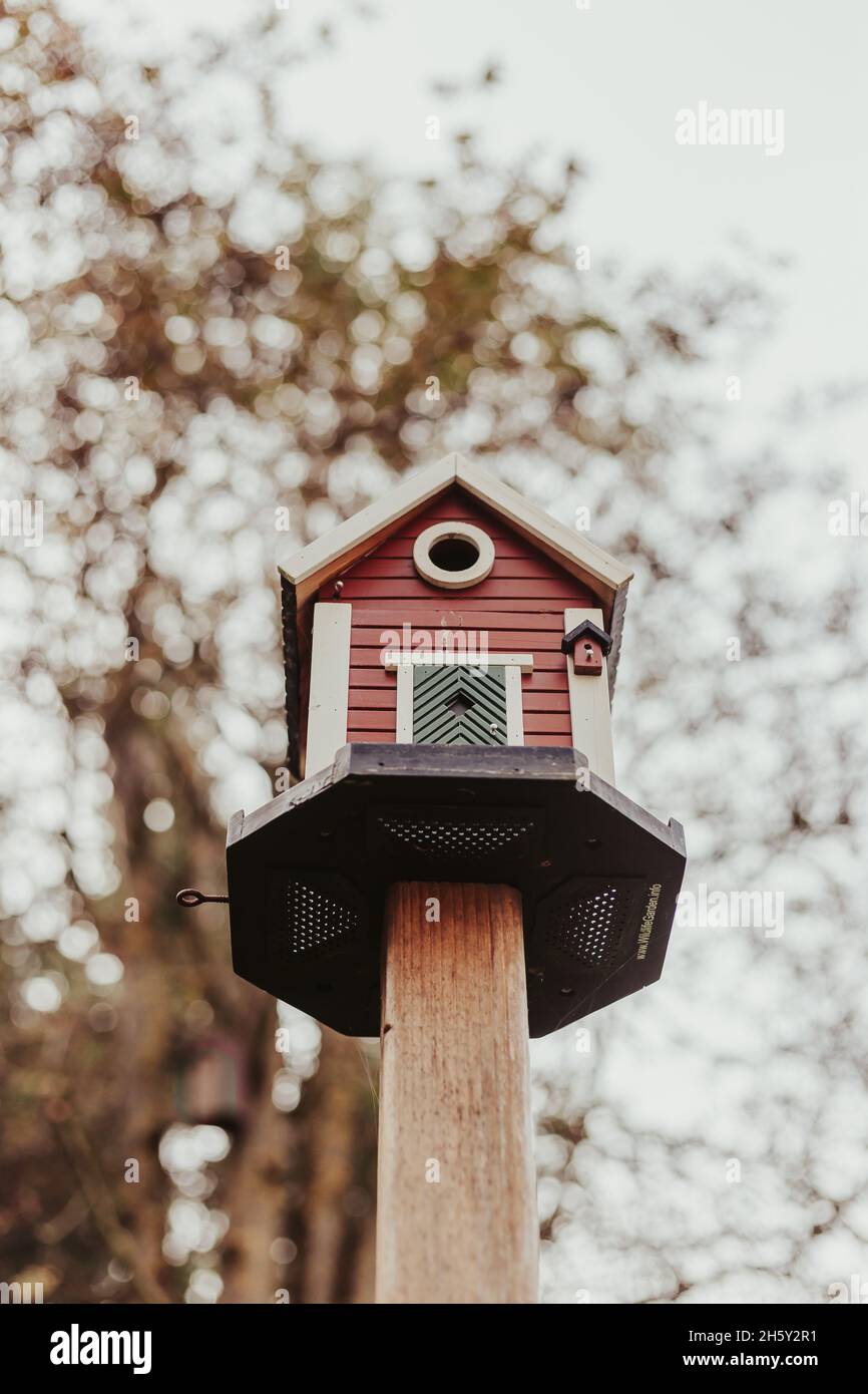 Low angle shot birdhouse hi-res stock photography and images - Alamy