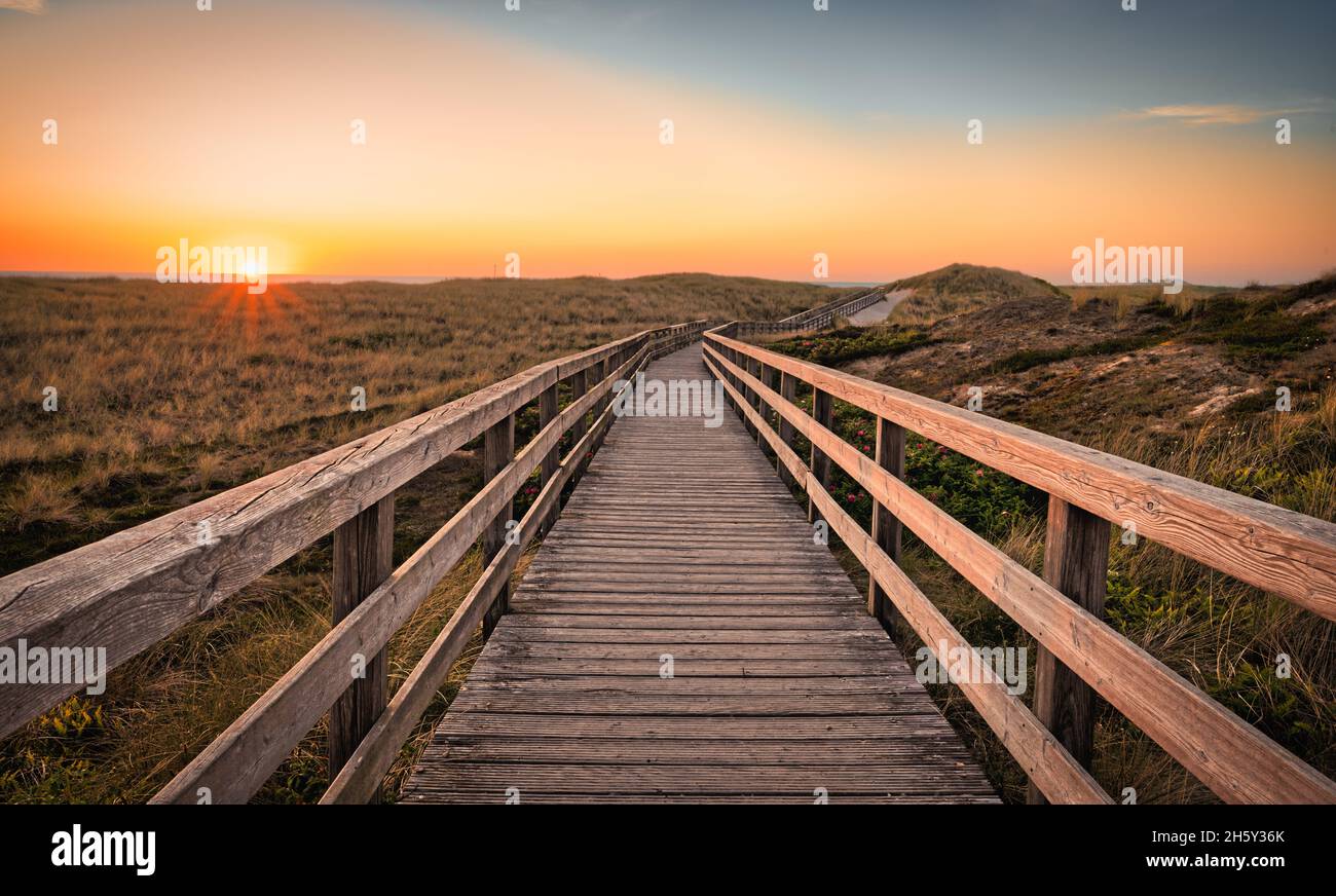 Wooden path through meadows under a sunset sky Stock Photo - Alamy