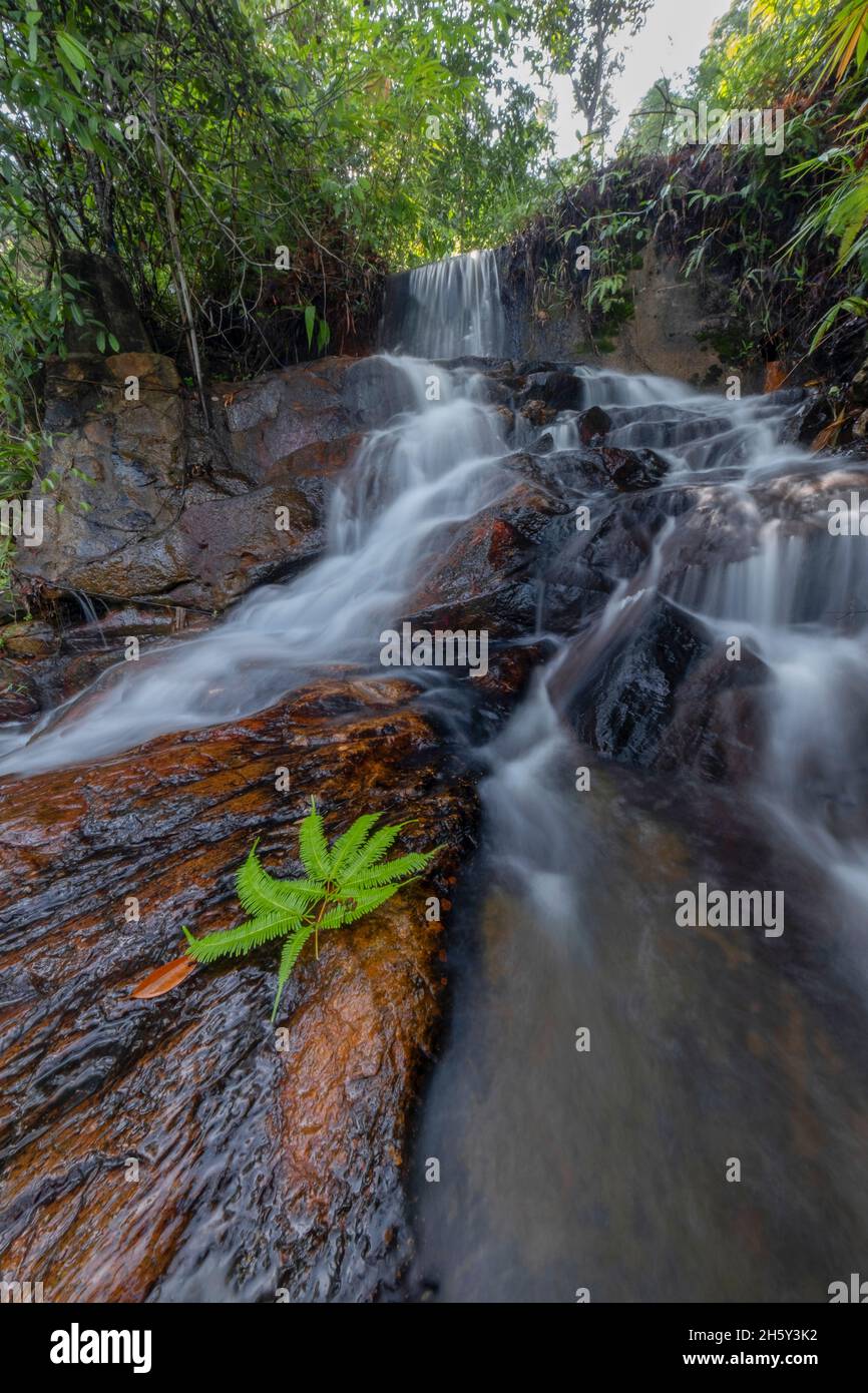 Hidden fresh waterfall Stock Photo - Alamy