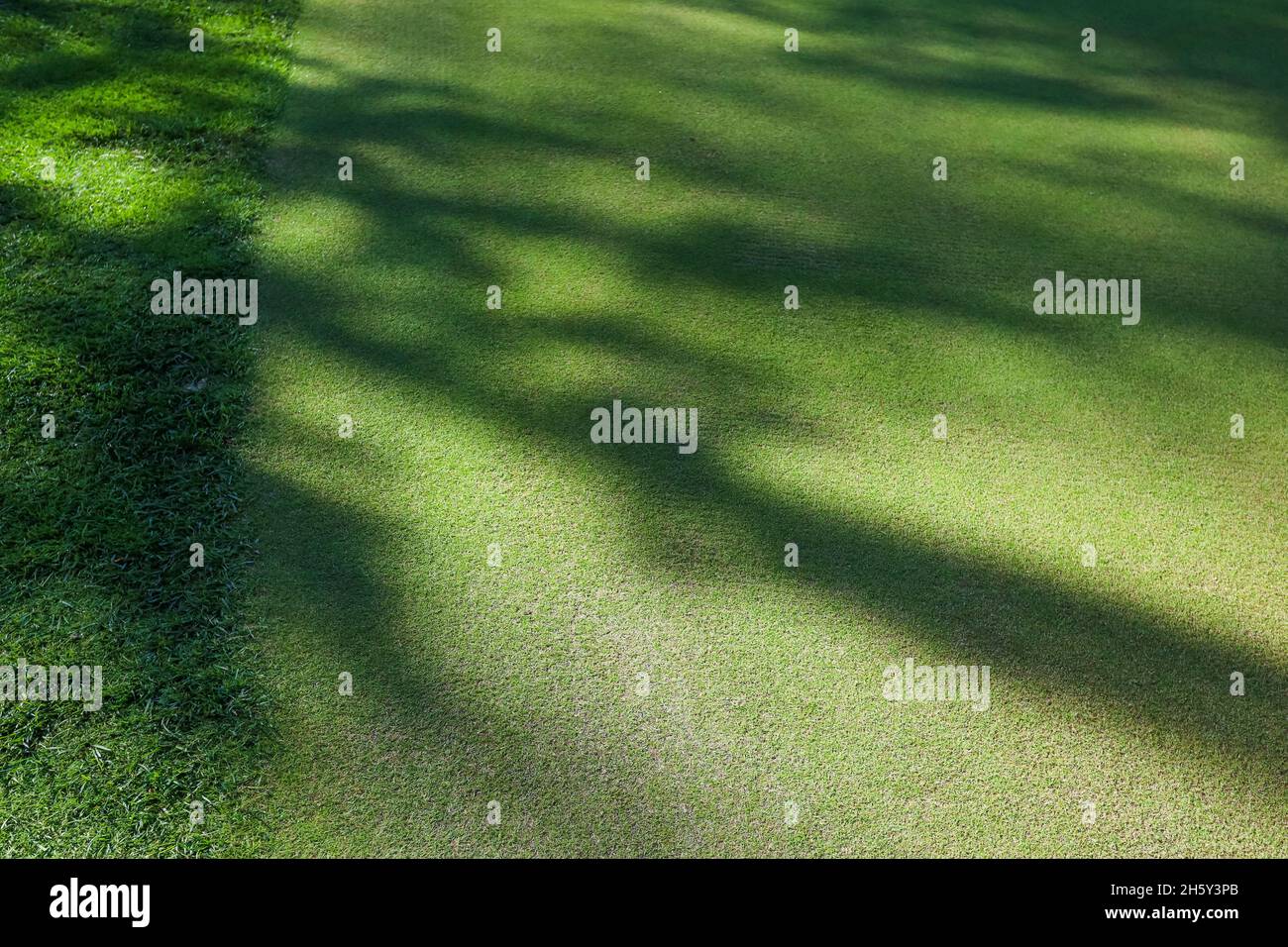 Shadows grass lawn texture hi-res stock photography and images - Alamy