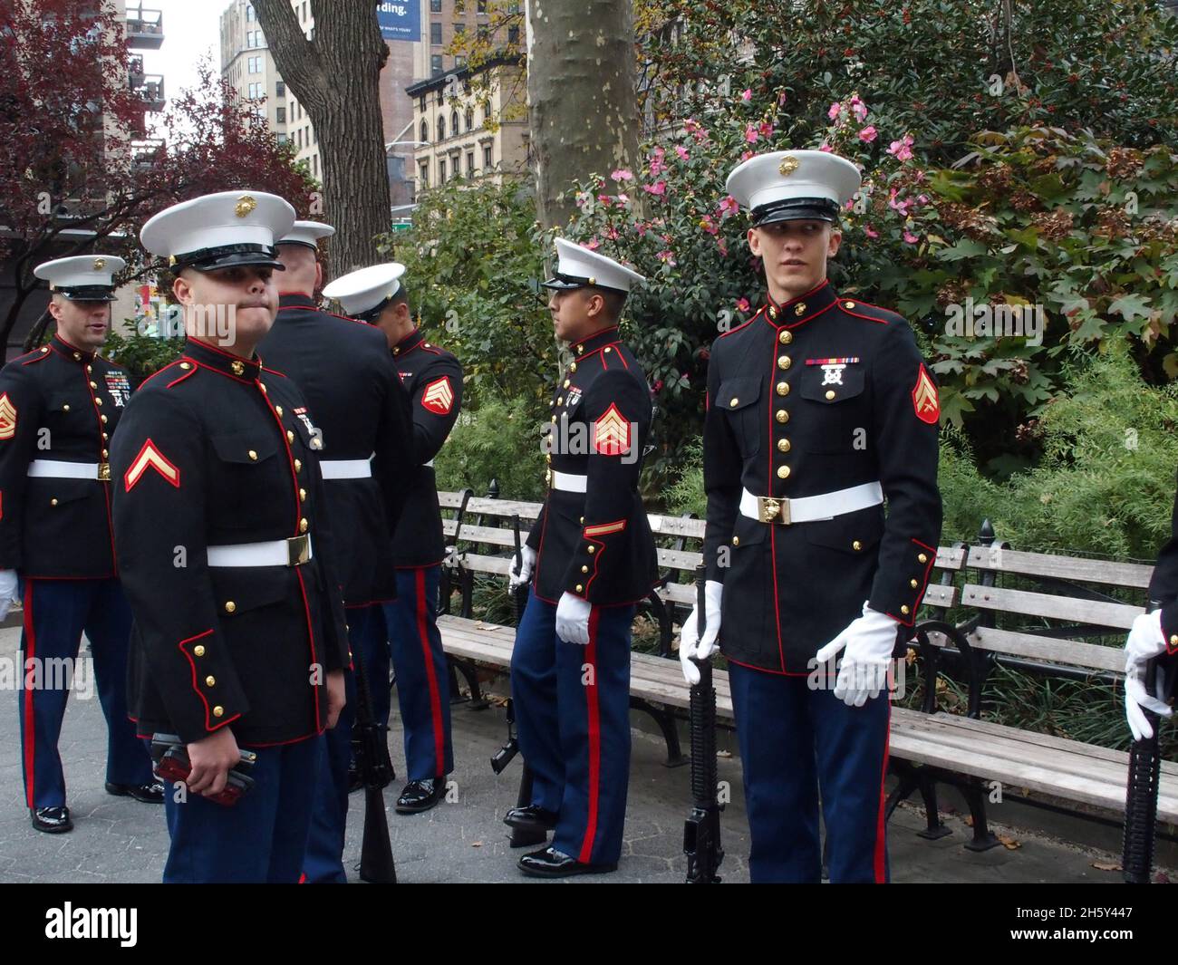 102nd veterans day parade hi-res stock photography and images - Alamy